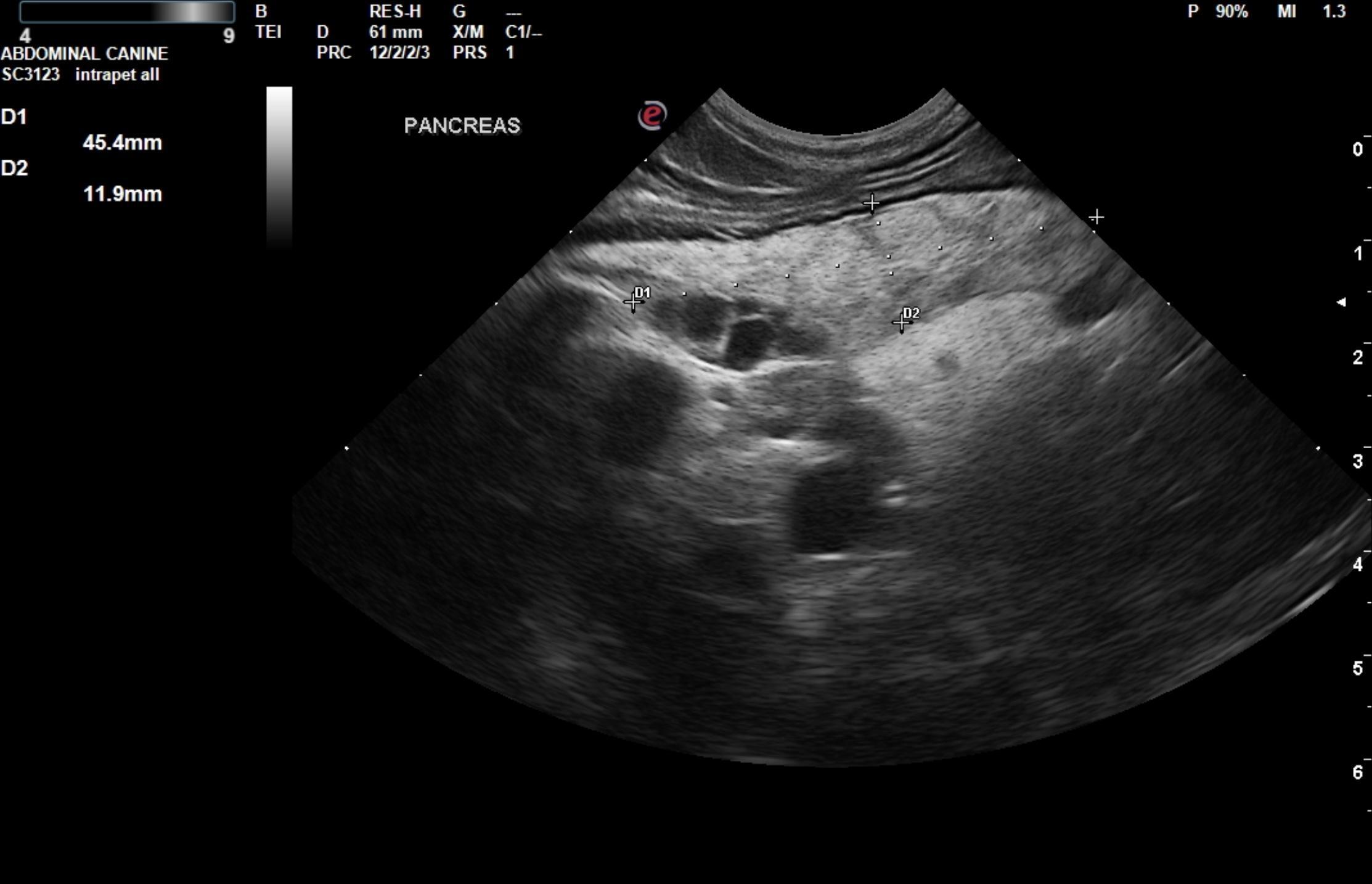 Gastric mural mass vs abscess in a 11 year old FS Miniature Schnauzer ...